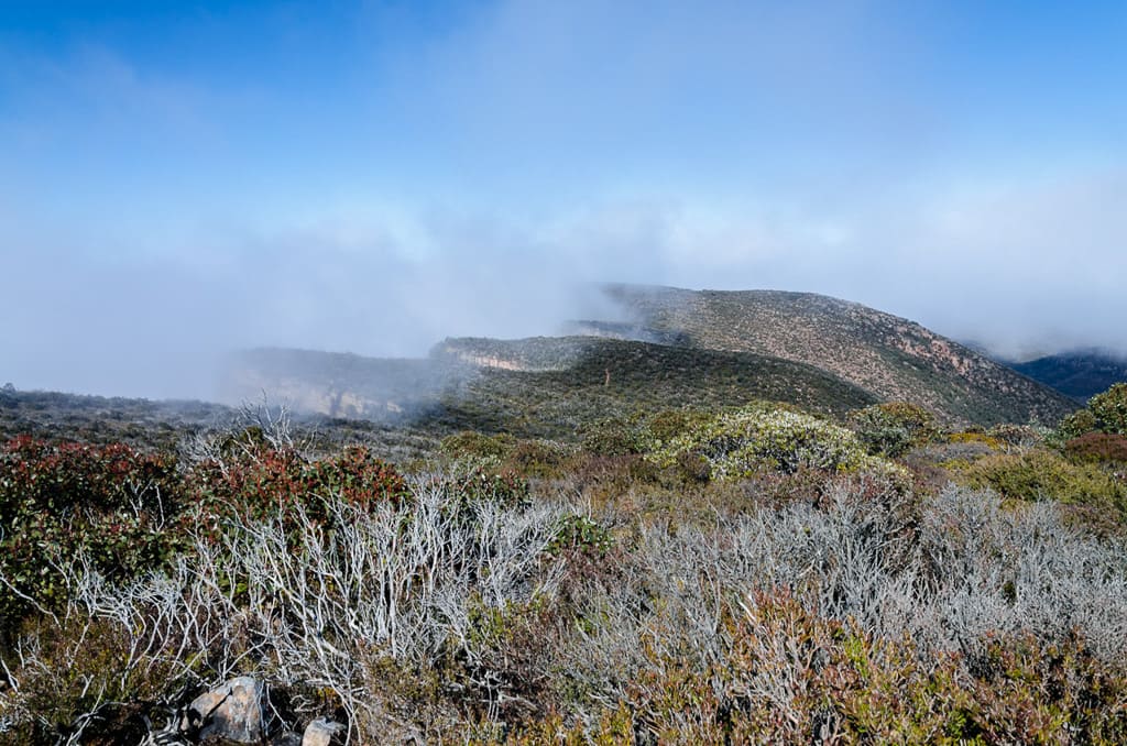 Explore the Breathtaking Major Mitchell Plateau: A Hiker’s Paradise in ...