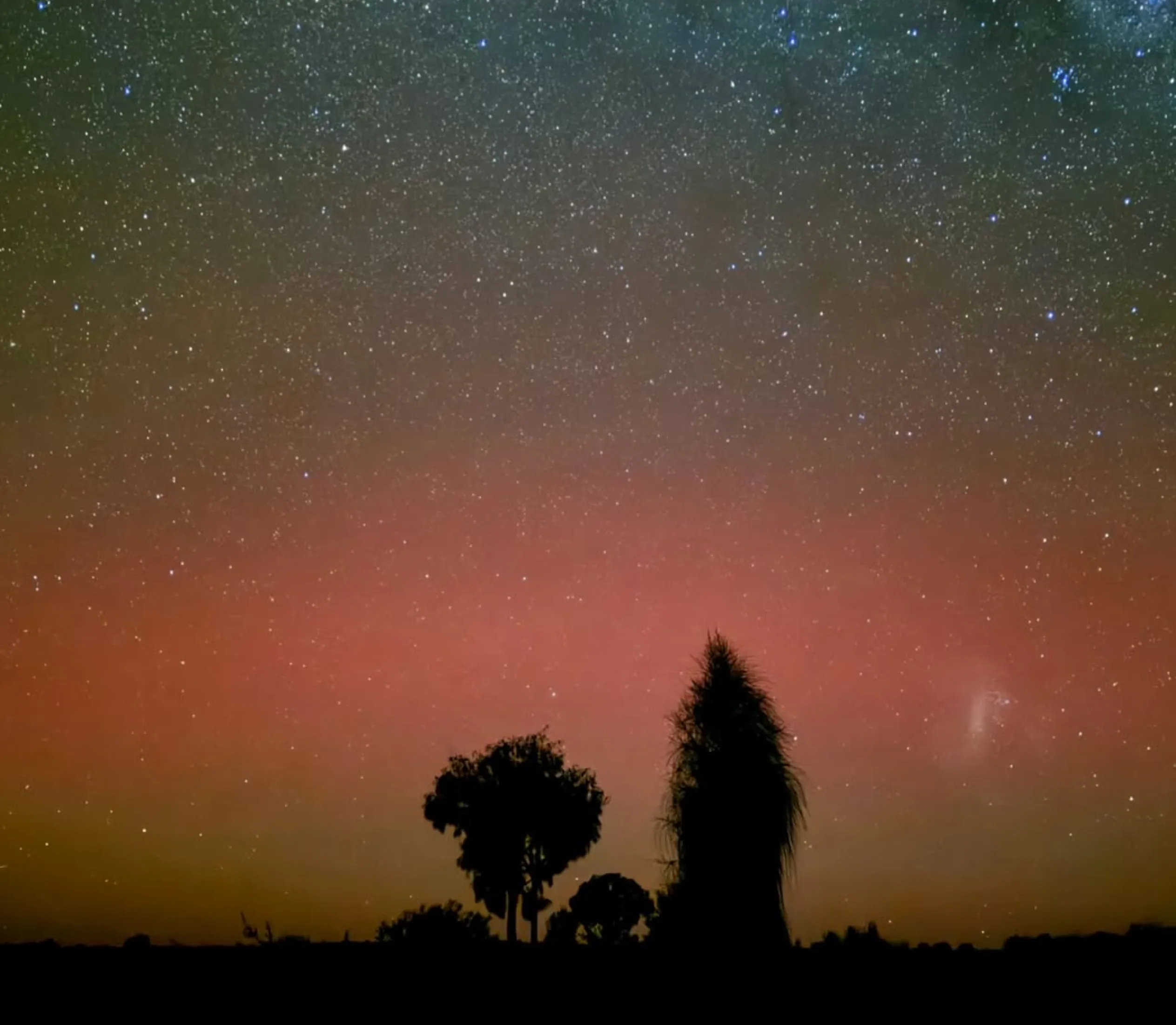 What Are the New ‘Dark Sky’ Experiences Launching at Kings Canyon in 2026?